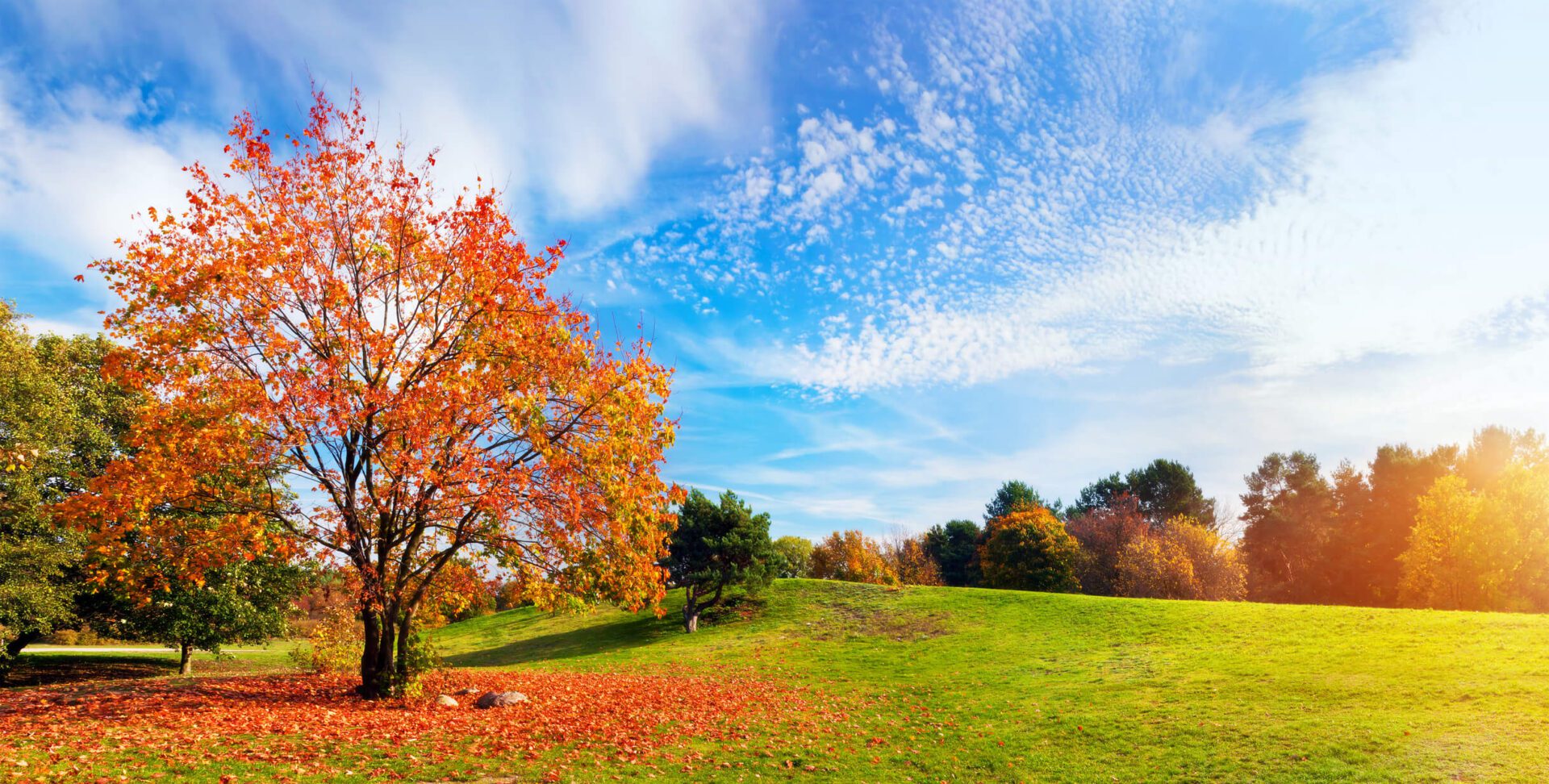 Autumn Staycation Activities | UK - Perfect Parks