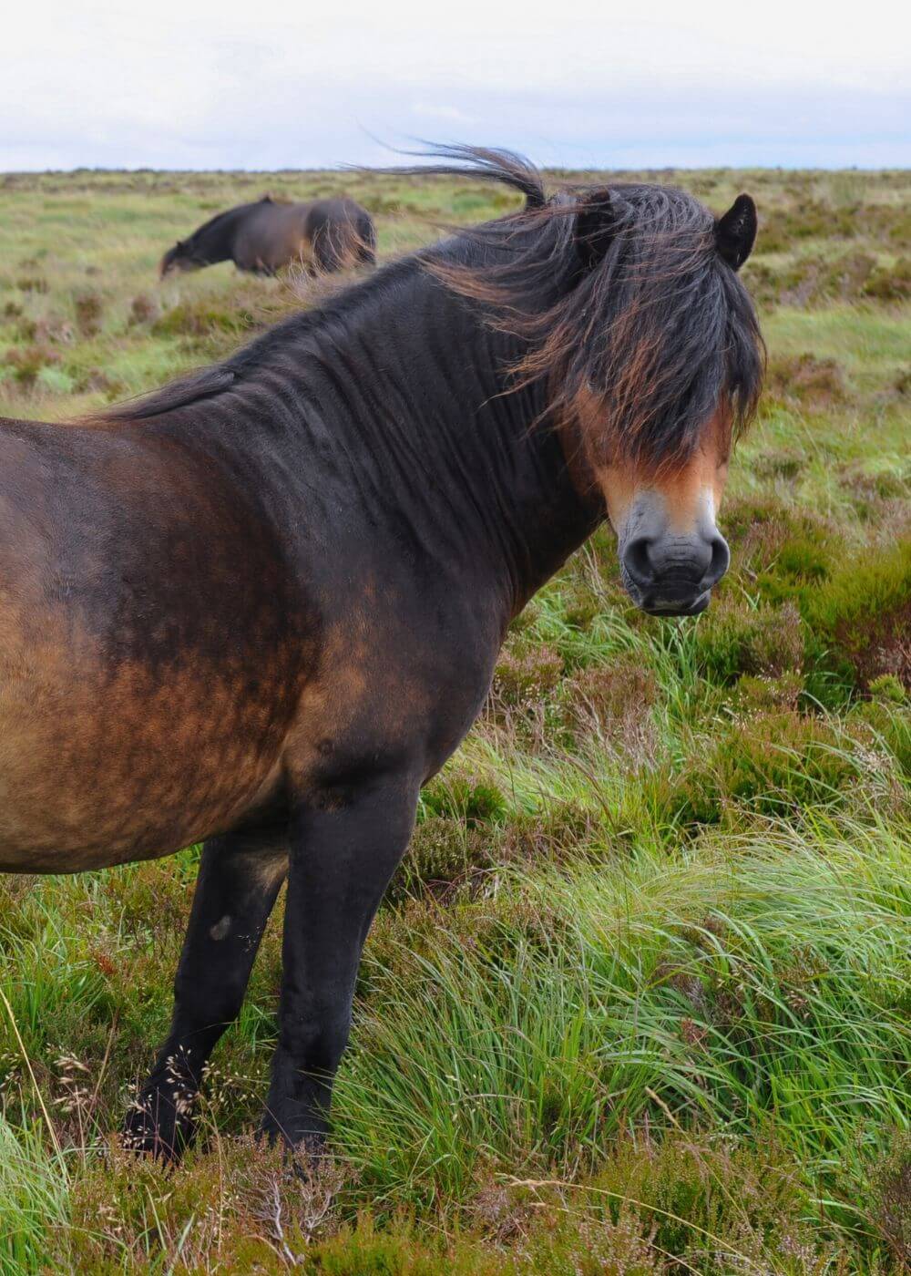 Holiday Parks | Exmoor - Perfect Parks
