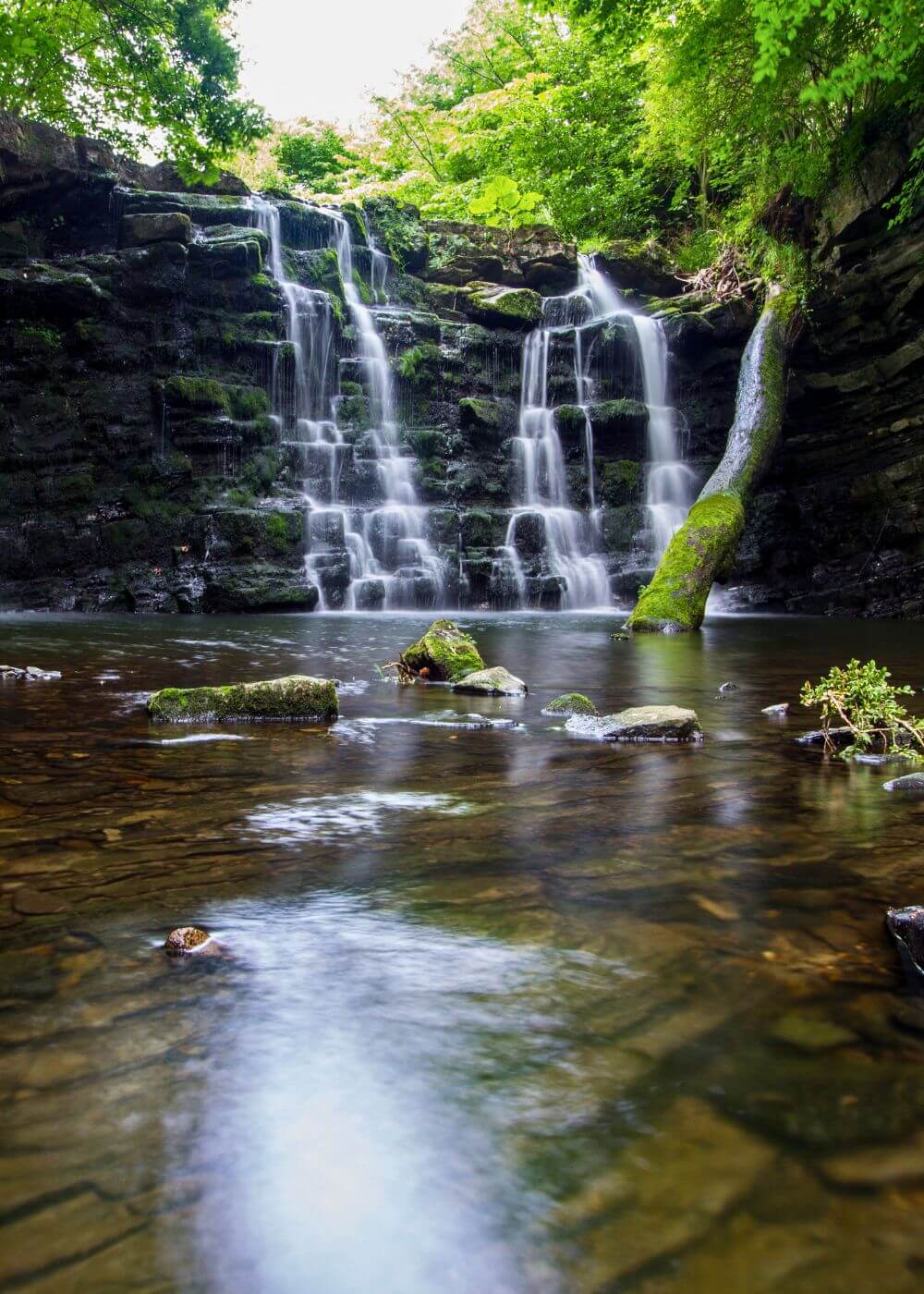 Holiday Parks | Forest of Bowland - Perfect Parks