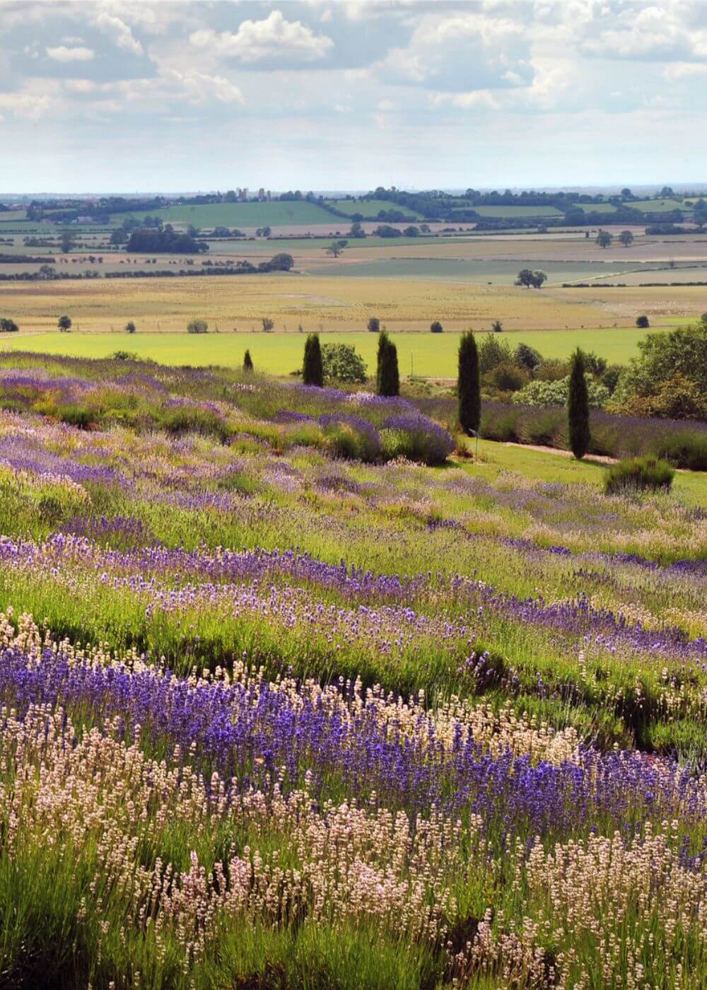 Holiday Parks | Howardian Hills - Perfect Parks