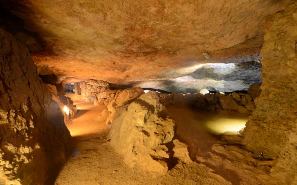 Holiday Parks | Forest of Dean - Perfect Parks