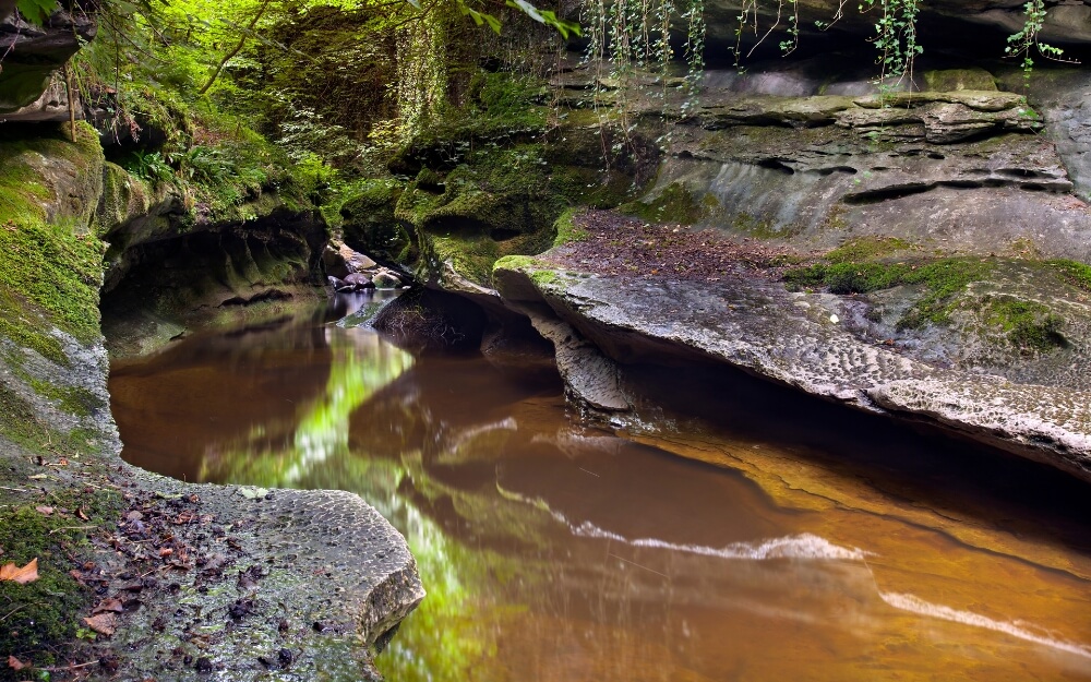 Holiday Parks | Nidderdale - Perfect Parks