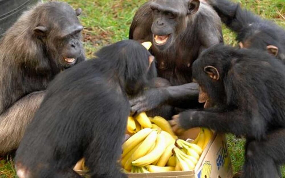 Holiday Parks | Dorset - Perfect Parks