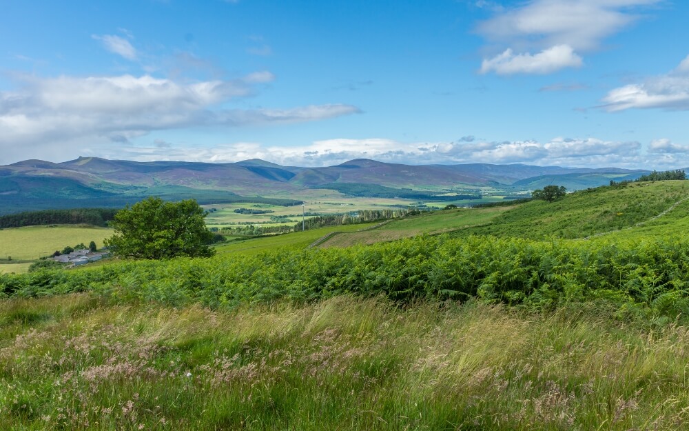 Holiday Parks | Aberdeenshire - Perfect Parks