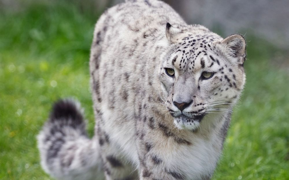 Epworth Fields | Holiday Park in Epworth, Lincolnshire